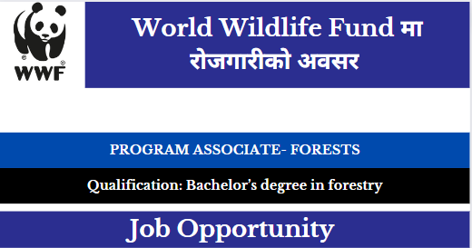 WWF Nepal New Vacancy 2023 for Program Associate-Forests - JOBS NOTICES