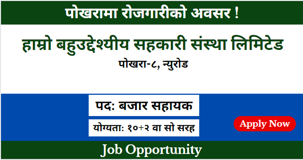 Market Assistant Job Vacancy at Hamro Multipurpose Cooperative